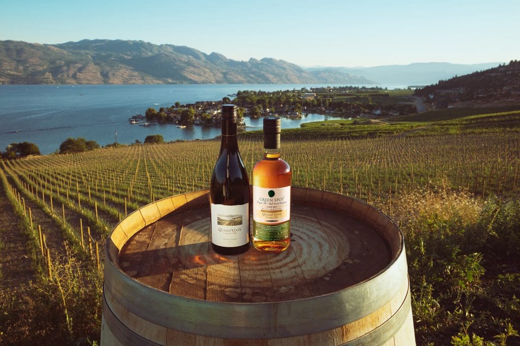 Quails’ Gate Estate Winery: A Legacy of Okanagan Excellence | OKGo