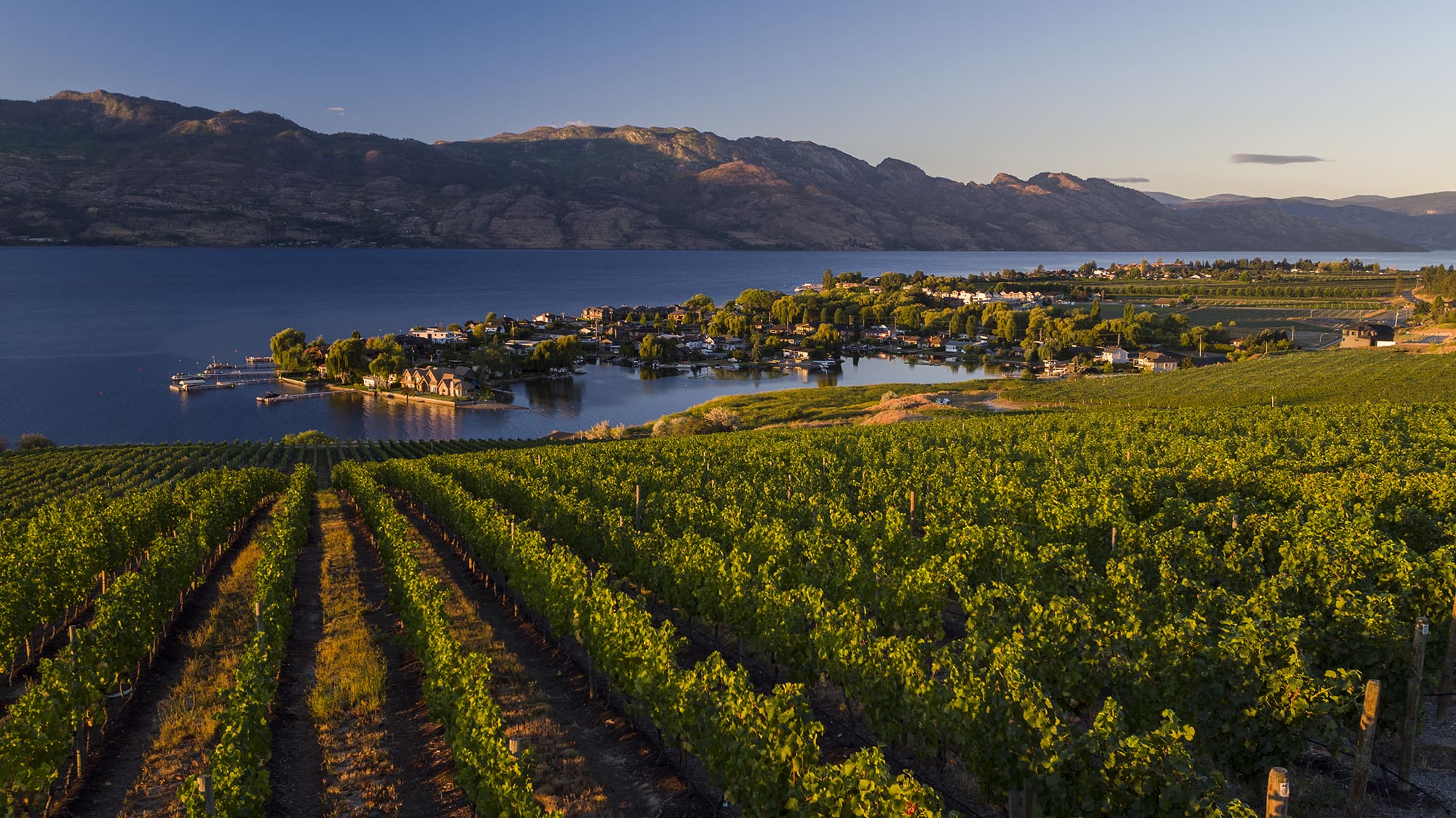 Quails’ Gate Estate Winery: A Legacy of Okanagan Excellence | OKGo